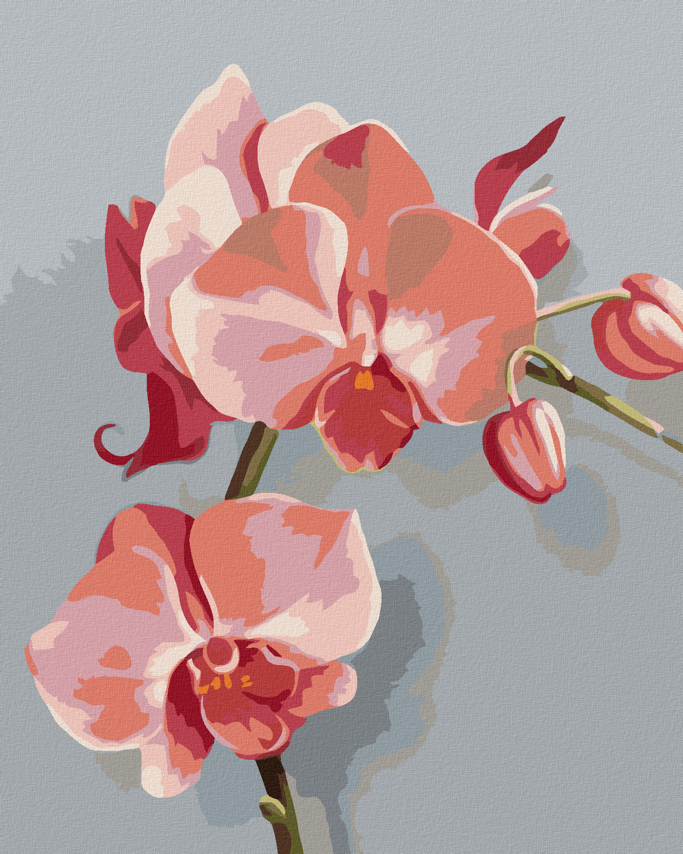 Malen nach Zahlen - ROSA ORCHIDEE (MYROSLAVA VOLOSCHUK) – ZUTY AT